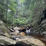 Lye Brook Falls Trail, Vermont - 3,392 Reviews, Map | AllTrails