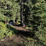 Badger Lake Trail, Oregon - 63 Reviews, Map | AllTrails