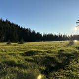 Badger Lake Trail, Oregon - 64 Reviews, Map | AllTrails