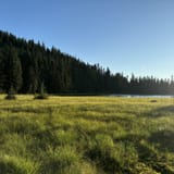 Badger Lake Trail, Oregon - 64 Reviews, Map | AllTrails