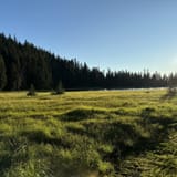 Badger Lake Trail, Oregon - 63 Reviews, Map | AllTrails