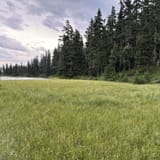 Badger Lake Trail, Oregon - 64 Reviews, Map | AllTrails