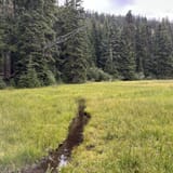 Badger Lake Trail, Oregon - 64 Reviews, Map | AllTrails