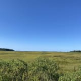 Barn Island Wildlife Management Area Trail, Connecticut - 707 Reviews ...