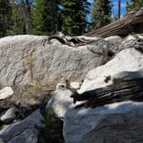 Sawtooth Wilderness Loop, Idaho - 136 Reviews, Map | AllTrails