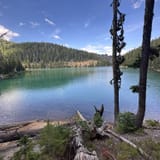 Devils Lake Trail, Oregon - 210 Reviews, Map | AllTrails