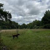 Capen Hill Nature Sanctuary, Massachusetts - 234 Reviews, Map | AllTrails