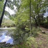 Capen Hill Nature Sanctuary, Massachusetts - 234 Reviews, Map | AllTrails