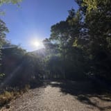 Neff's Canyon Loop, Utah - 3,131 Reviews, Map | AllTrails