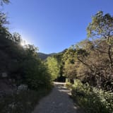 Neff's Canyon Loop, Utah - 3,197 Reviews, Map | AllTrails