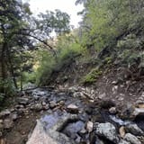 Neff's Canyon Loop, Utah - 3,139 Reviews, Map | AllTrails