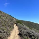 Old Colma Road Loop, California - 2,244 Reviews, Map | AllTrails