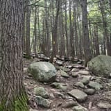 Boulder Loop Trail, New Hampshire - 2,207 Reviews, Map | AllTrails