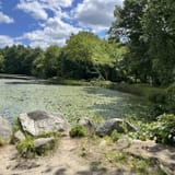Leach Pond Trail, Massachusetts - 2,901 Reviews, Map | AllTrails