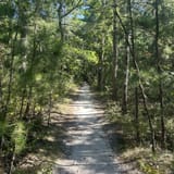 Batsto Lake Trail, New Jersey - 1,834 Reviews, Map | AllTrails