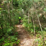 Midhurst Trail , Ontario, Canada - 1,544 Reviews, Map | AllTrails