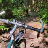 Midhurst Trail , Ontario, Canada - 1,544 Reviews, Map | AllTrails