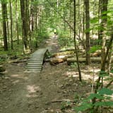 Midhurst Trail , Ontario, Canada - 1,544 Reviews, Map | AllTrails