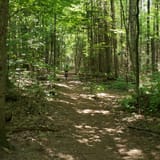Midhurst Trail , Ontario, Canada - 1,544 Reviews, Map | AllTrails
