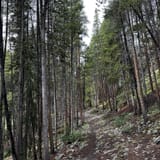 Burro Trail, Colorado - 1,574 Reviews, Map | AllTrails