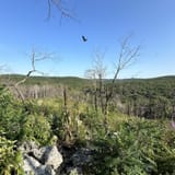 Cave Spring Loop Trail, Missouri - 401 Reviews, Map | AllTrails