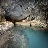 Cave Spring Loop Trail, Missouri - 401 Reviews, Map | AllTrails