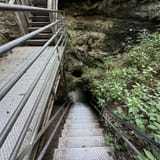 Cave Spring Loop Trail, Missouri - 401 Reviews, Map | AllTrails