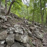 Giuffrida Park Loop [CLOSED], Connecticut - 1,791 Reviews, Map | AllTrails