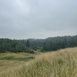 Pipestone Creek Conservation, Alberta, Canada - 99 Reviews, Map | AllTrails