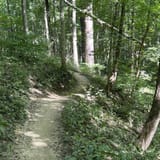 Lawrence Creek Trail, Indiana - 3,566 Reviews, Map | AllTrails