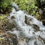 Cascade Springs Interpretive Trail, Utah - 531 Reviews, Map | AllTrails