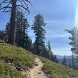 Mount Judah Loop Trail, California - 2,585 Reviews, Map | AllTrails