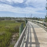 Cedar Point Tideland Trail, North Carolina - 773 Reviews, Map | AllTrails
