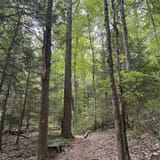 Capen Hill Nature Sanctuary, Massachusetts - 234 Reviews, Map | AllTrails