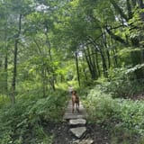 Capen Hill Nature Sanctuary, Massachusetts - 234 Reviews, Map | AllTrails