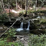 Seneca Creek Trail, West Virginia - 338 Reviews, Map | AllTrails