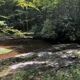 Seneca Creek Trail, West Virginia - 331 Reviews, Map | AllTrails