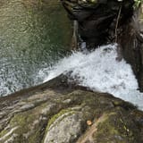 Seneca Creek Trail, West Virginia - 338 Reviews, Map | AllTrails