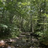 Seneca Creek Trail, West Virginia - 331 Reviews, Map | AllTrails