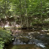 Seneca Creek Trail, West Virginia - 338 Reviews, Map | AllTrails