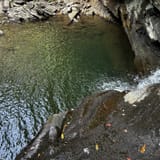 Seneca Creek Trail, West Virginia - 331 Reviews, Map | AllTrails