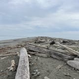 Dungeness Spit Trail, Washington - 1,715 Reviews, Map | AllTrails