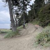 Dungeness Spit Trail, Washington - 1,715 Reviews, Map | AllTrails