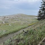 Dungeness Spit Trail, Washington - 1,715 Reviews, Map | AllTrails