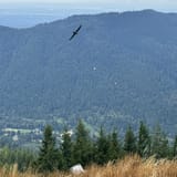 Cable Line Trail to West Tiger #3, Washington - 2,563 Reviews, Map ...