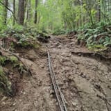 Cable Line Trail to West Tiger #3, Washington - 2,563 Reviews, Map ...