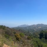 Fryman Canyon Trail, California - 6,445 Reviews, Map | AllTrails