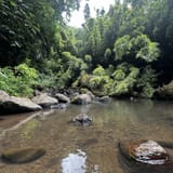 Judd Trail, Oahu, Hawaii - 2,844 Reviews, Map | AllTrails