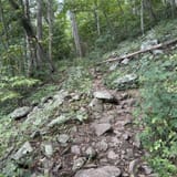 Lewis Spring Falls Trail, Virginia - 1,546 Reviews, Map | AllTrails