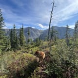 Mount Hosmer Trail, British Columbia, Canada - 78 Reviews, Map | AllTrails